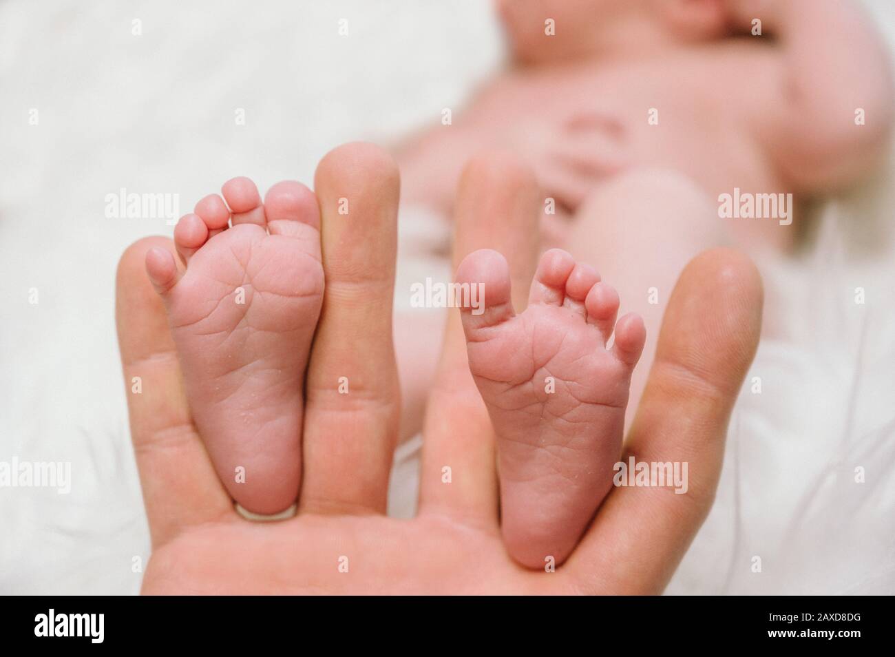 Feet of a newborn baby in the hands of parents. Happy family moment and ...