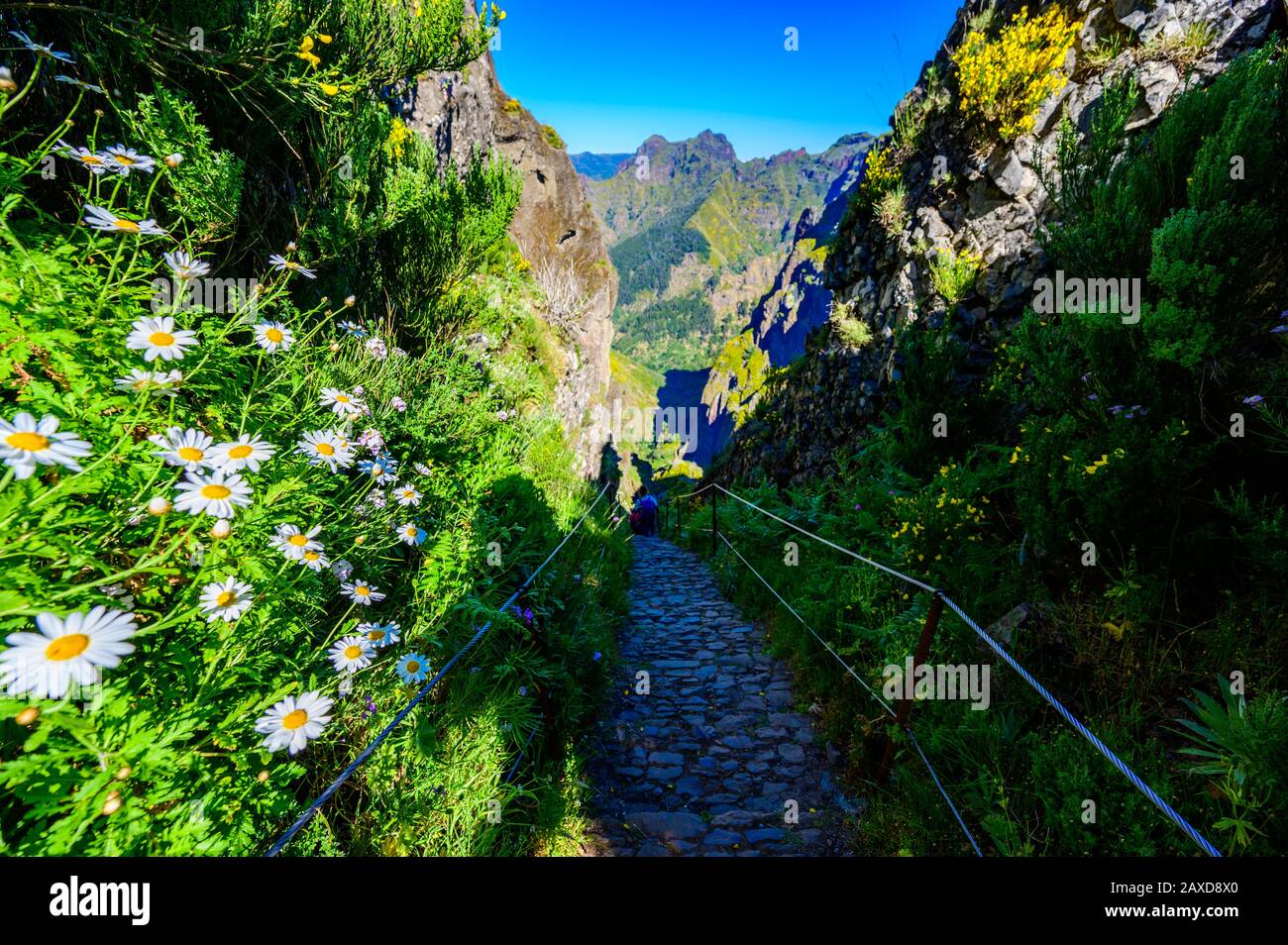 Beautiful hiking trail from Pico do Arieiro to Pico Ruivo, Madeira ...