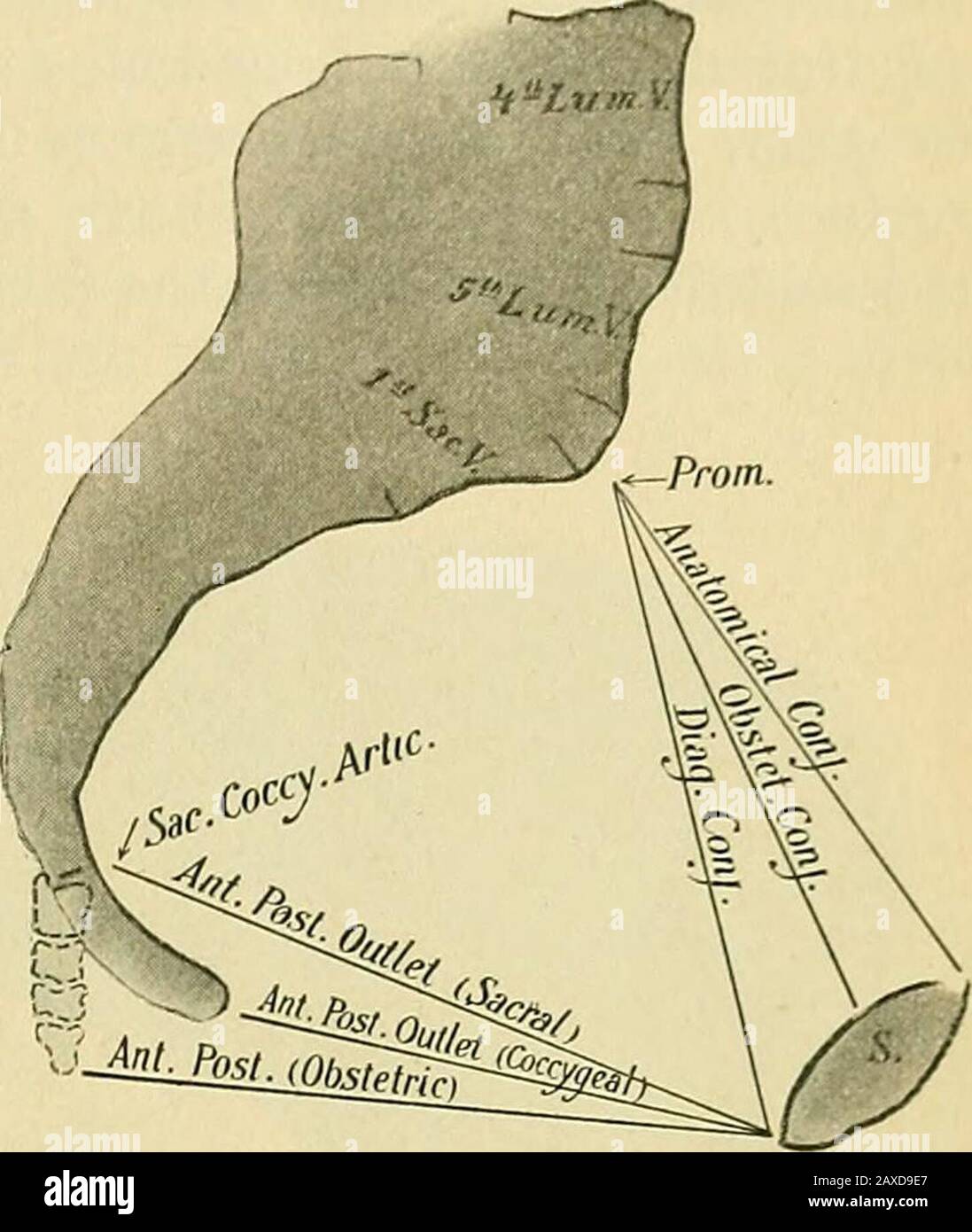 The practice of obstetrics, designed for the use of students and ...