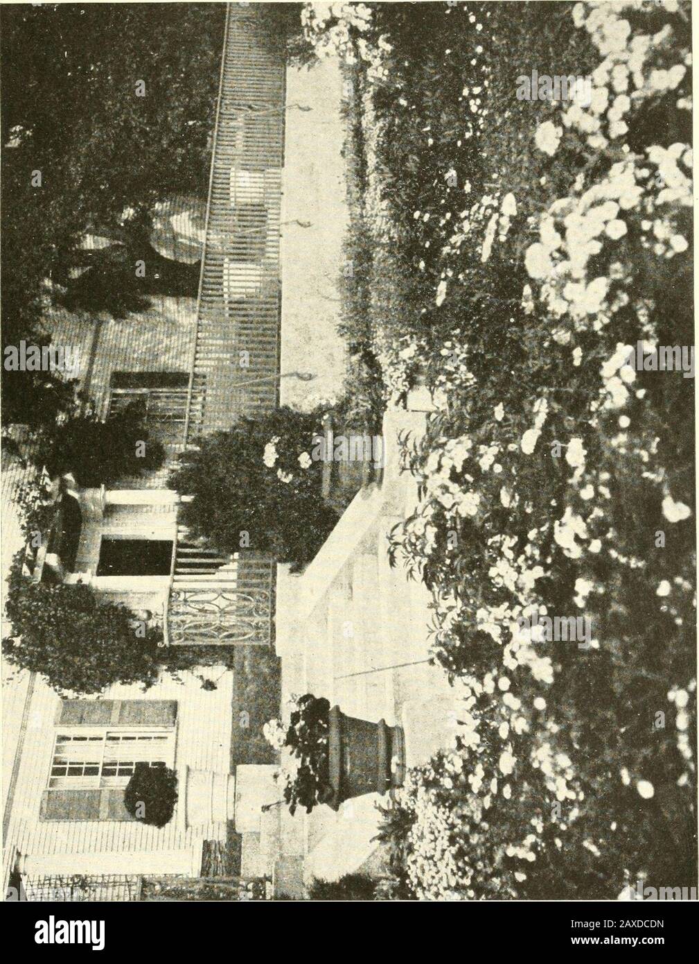 Unnatural appearance hi-res stock photography and images - Alamy