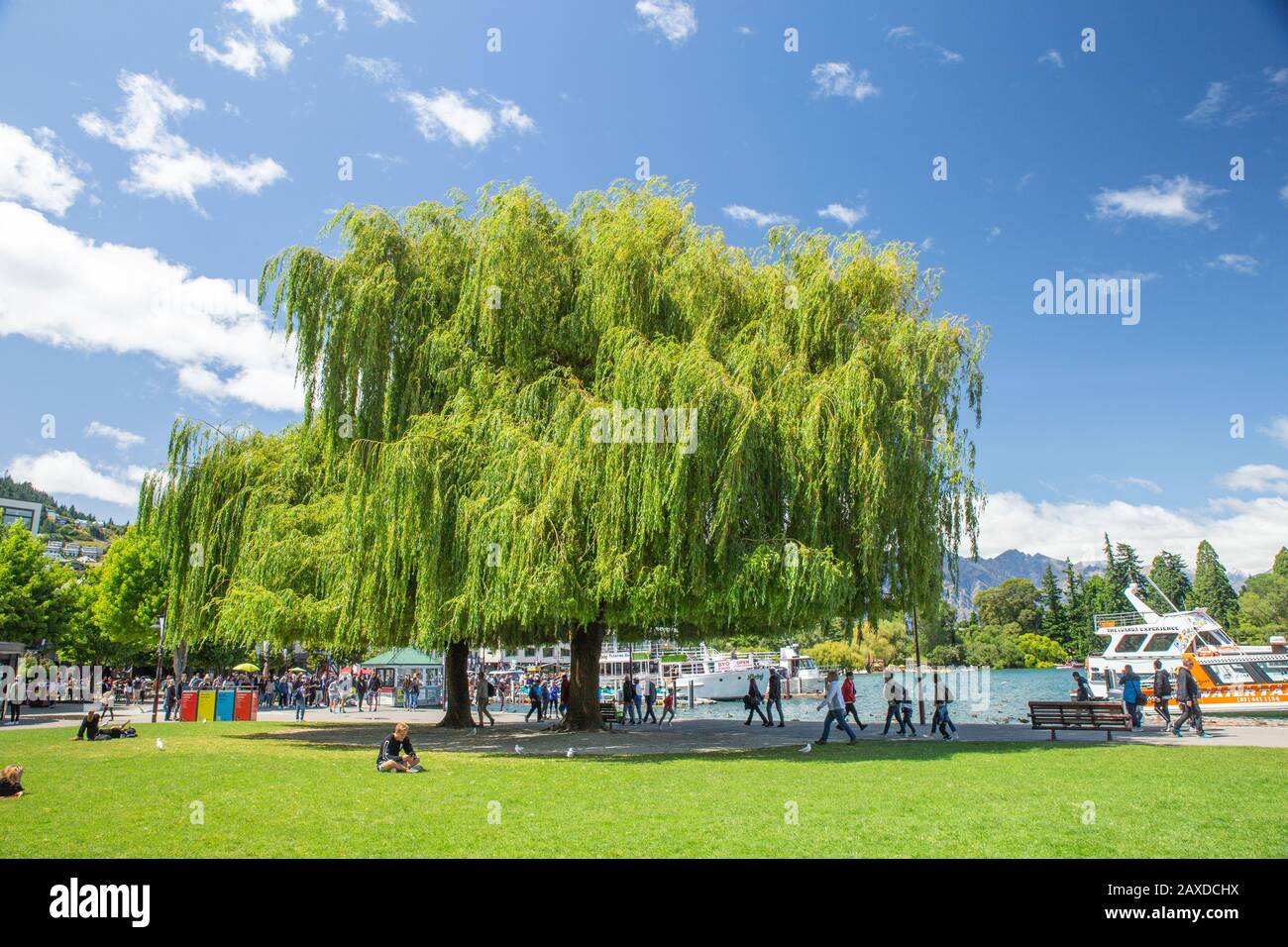 Queenstown New Zealand.City Streets of Queenstown South Island New ...