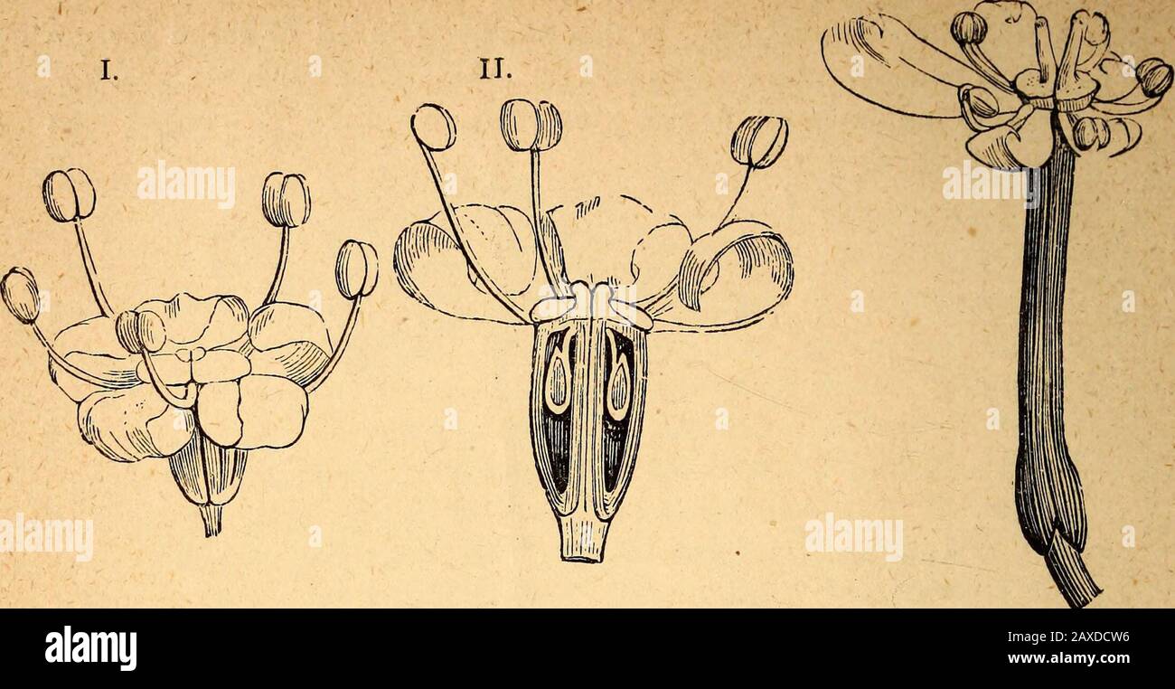 Section 508 text hi-res stock photography and images - Alamy