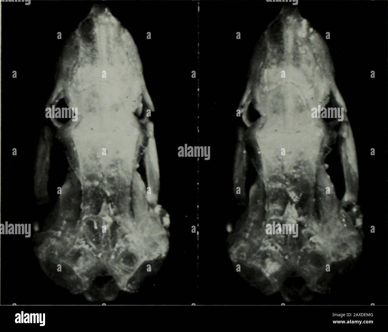 Comprehensive account hi-res stock photography and images - Alamy