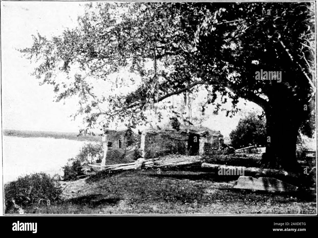 Det lin hi-res stock photography and images - Alamy