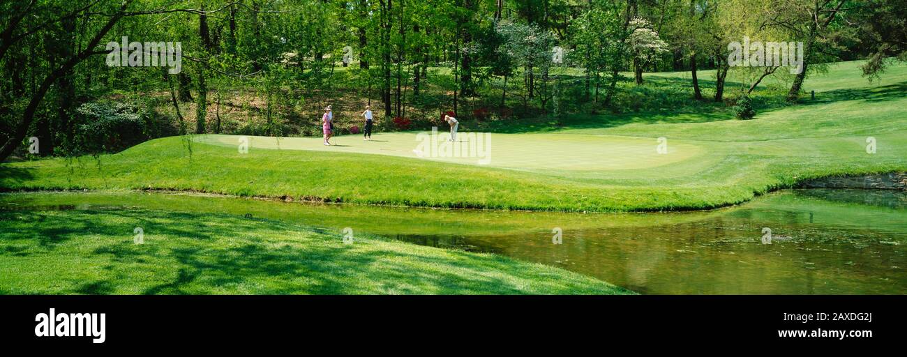 Three people on a golf course, Baltimore Country Club, Maryland, USA ...