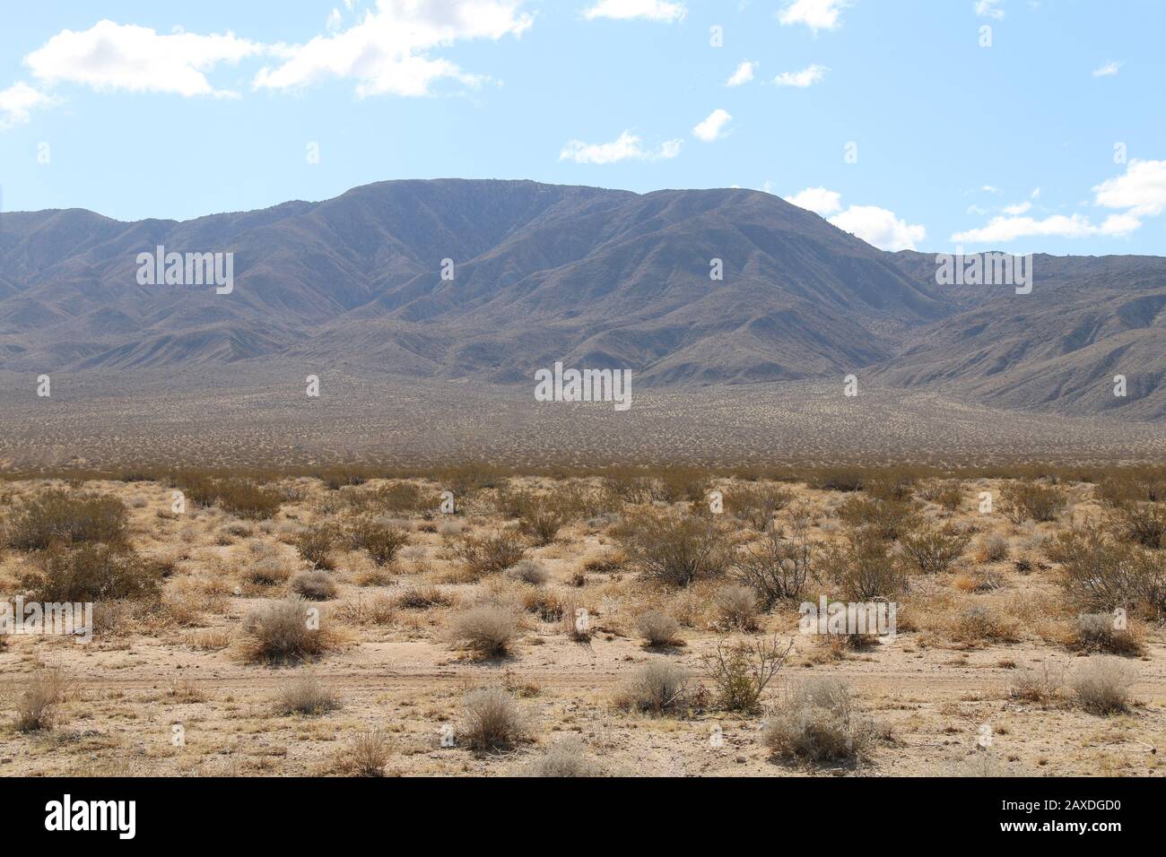 a dusty desert wilderness and distant mountains Stock Photo - Alamy