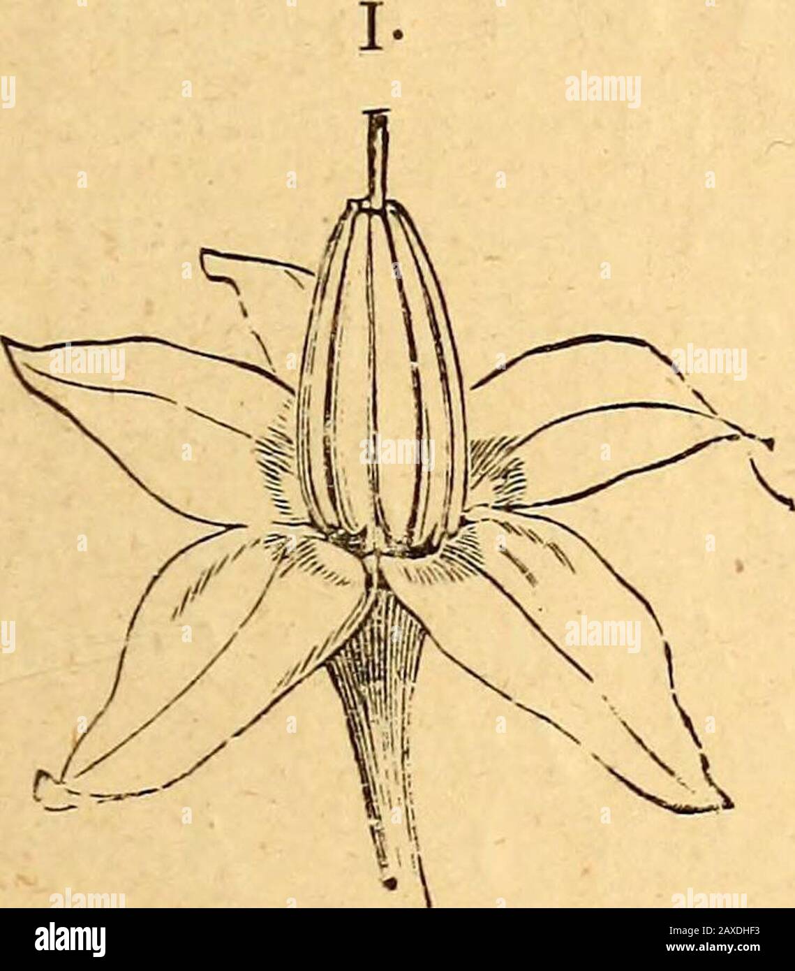 Fi 587 hi-res stock photography and images - Alamy