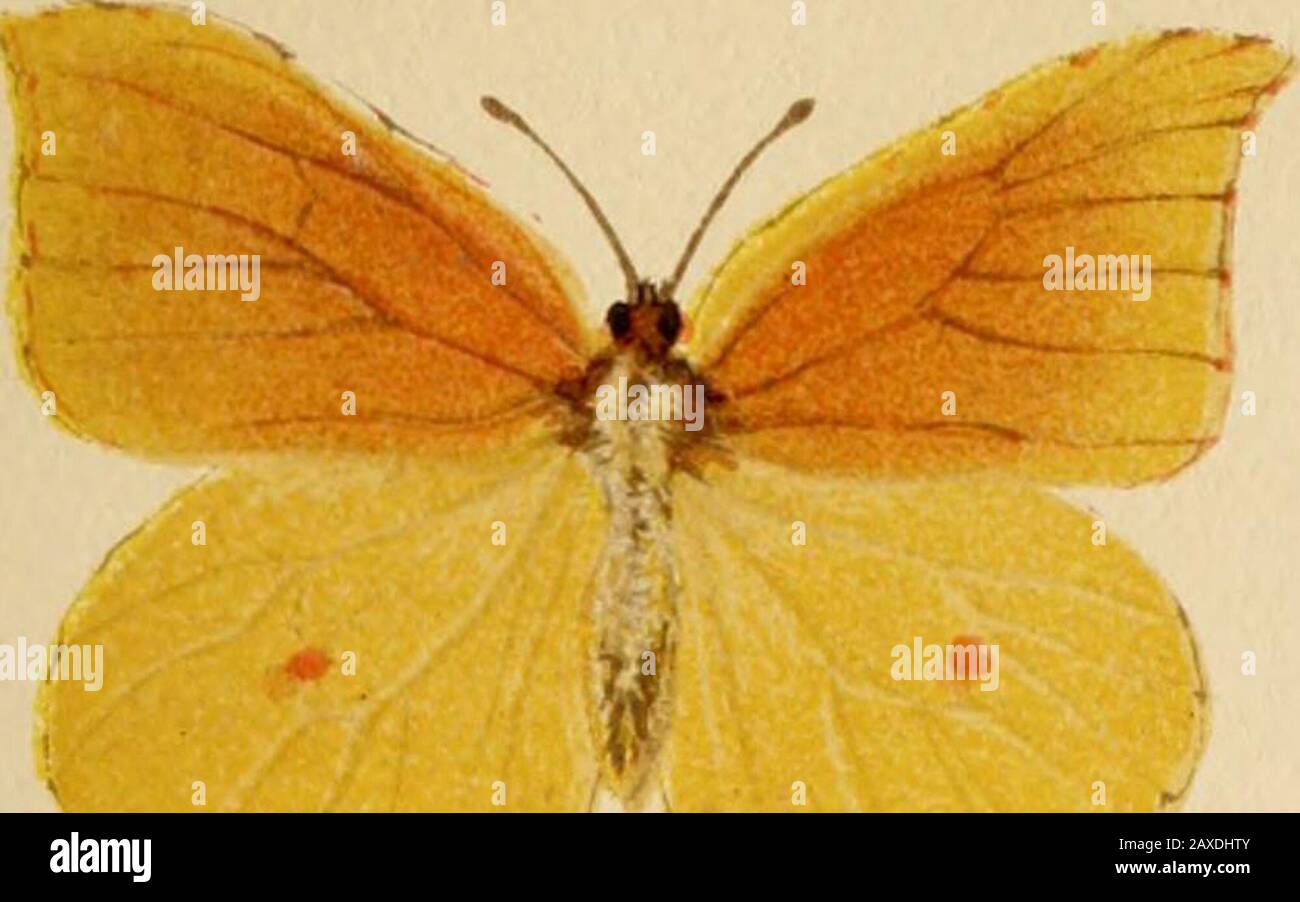 Atomical High Resolution Stock Photography and Images - Alamy