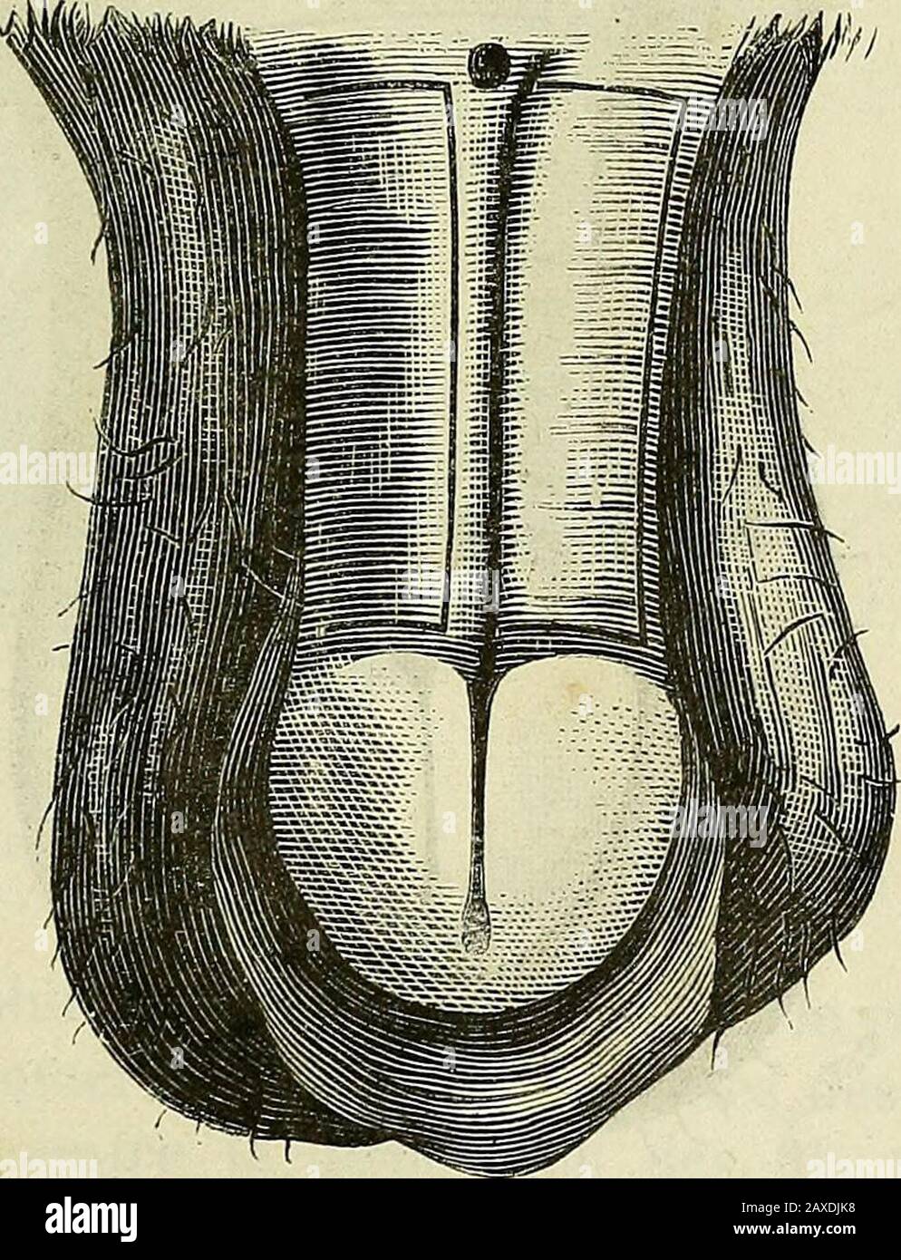 Quatretemps hi-res stock photography and images - Alamy