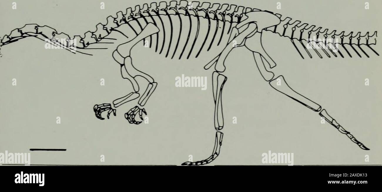 Annals of the South African MuseumAnnale van die Suid-Afrikaanse Museum ...