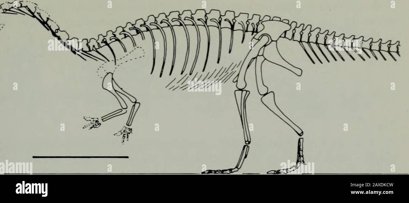 Lufengosaurus hi-res stock photography and images - Alamy