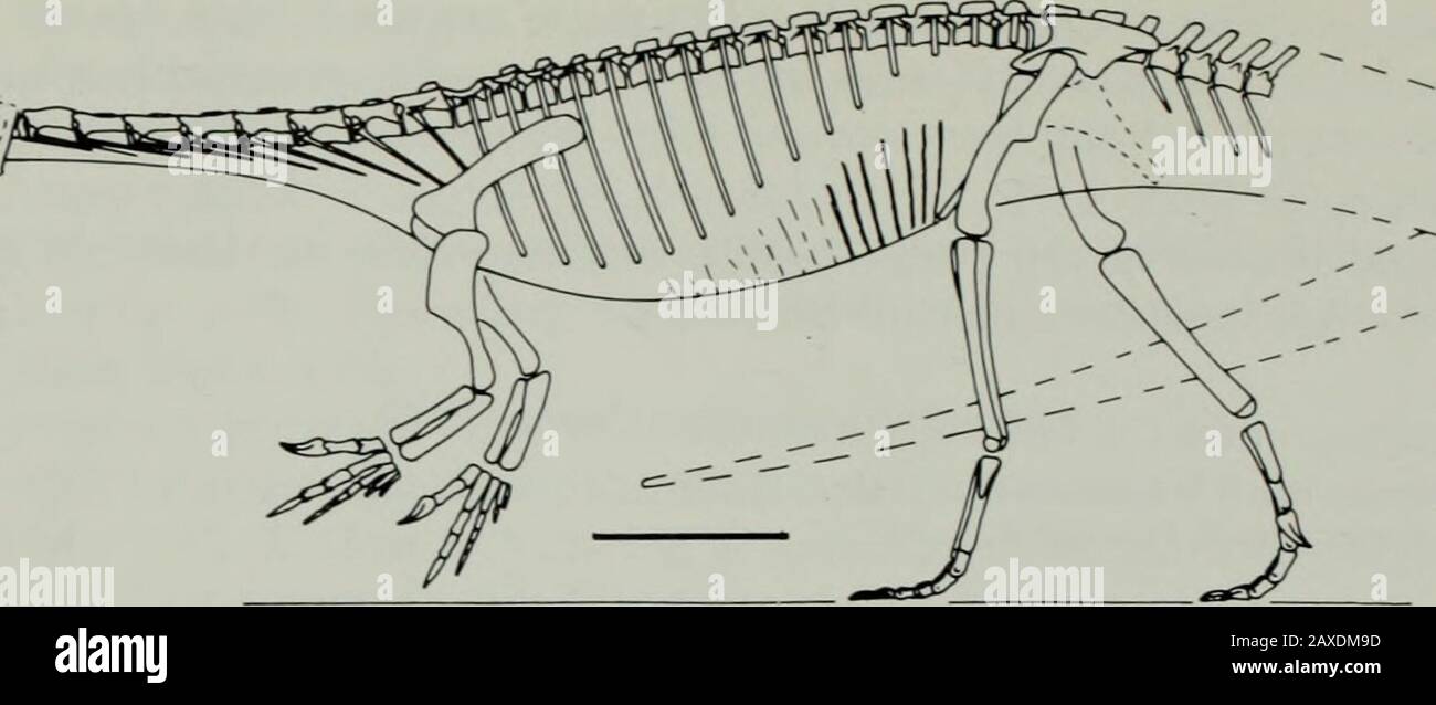 Annals of the South African MuseumAnnale van die Suid-Afrikaanse Museum ...