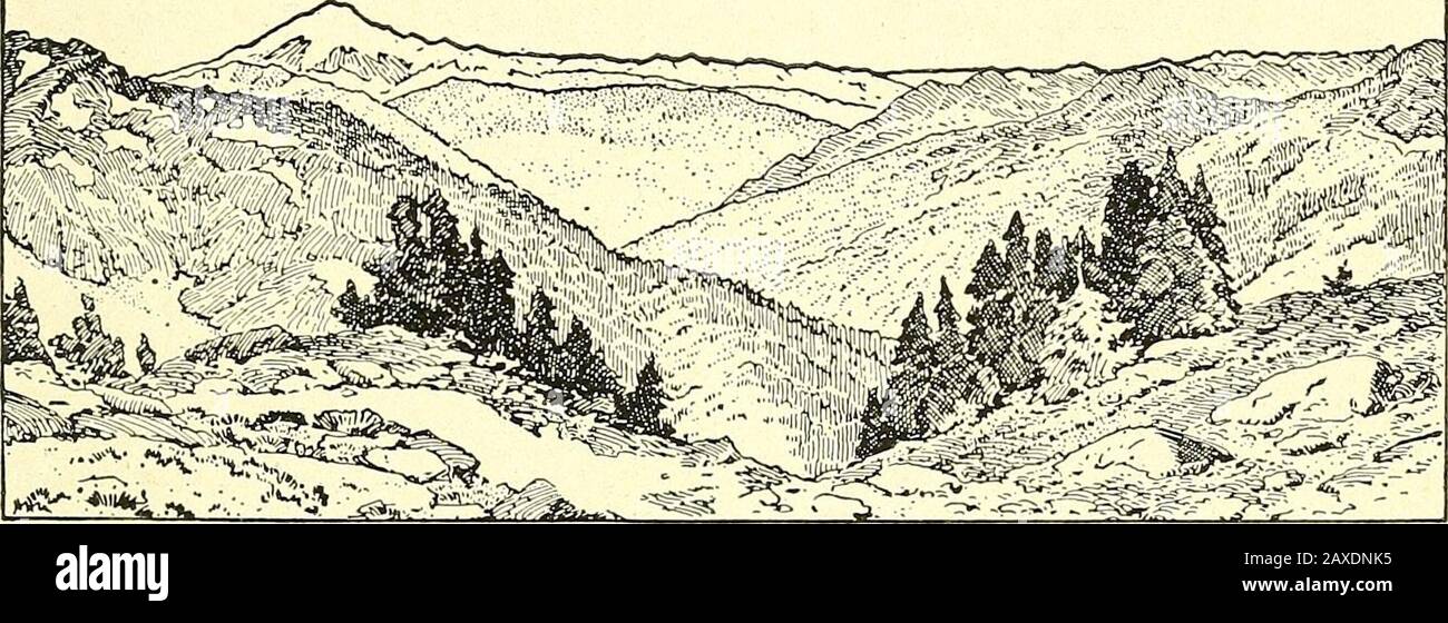 Forest physiography; physiography of the United States and principles ...