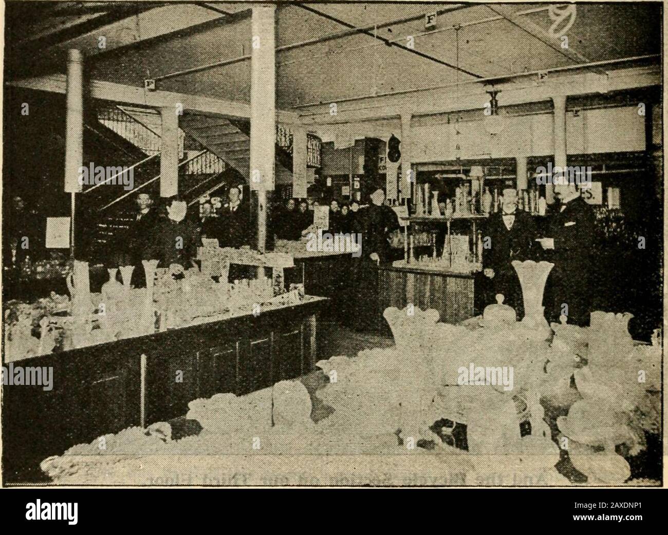 Mexican wood rat hi-res stock photography and images - Alamy