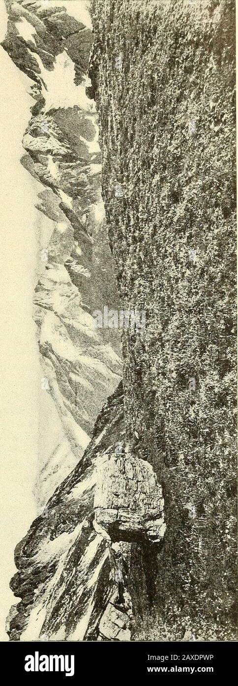 Nevada physiography hi-res stock photography and images - Alamy