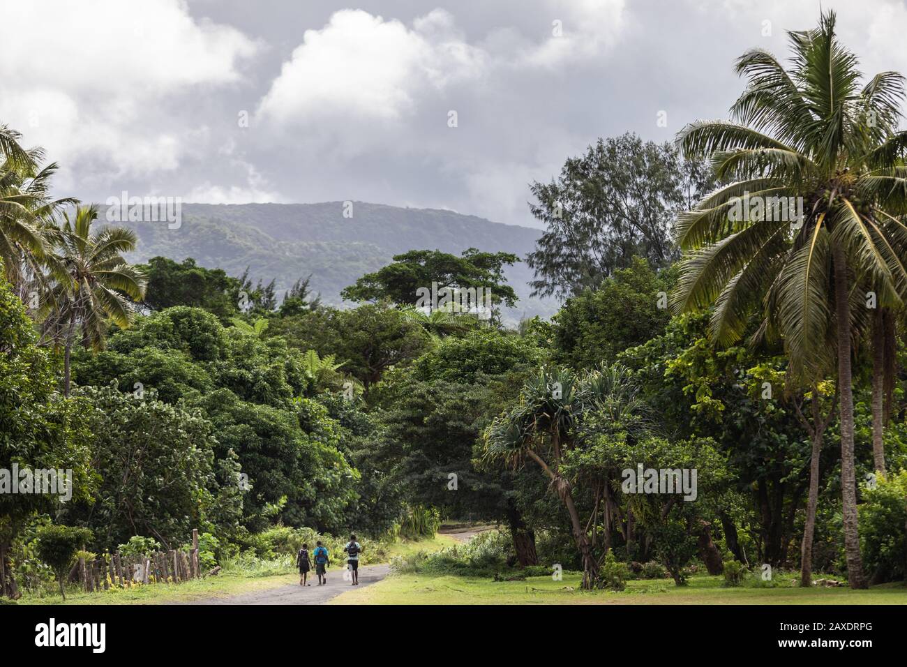 Lush green islands hi-res stock photography and images - Alamy