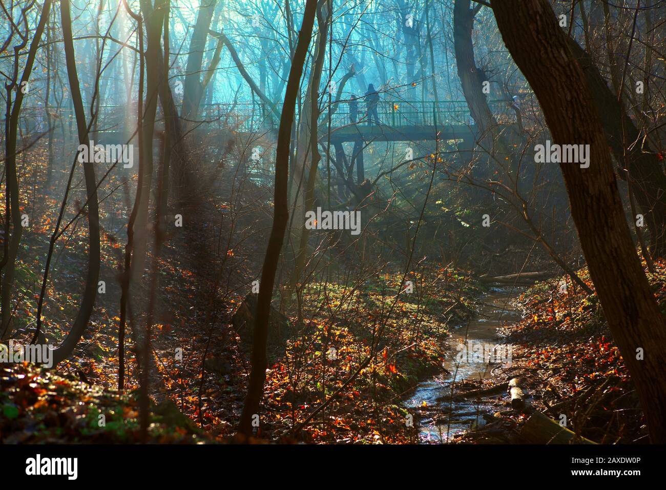 Spring path vector hi-res stock photography and images - Alamy