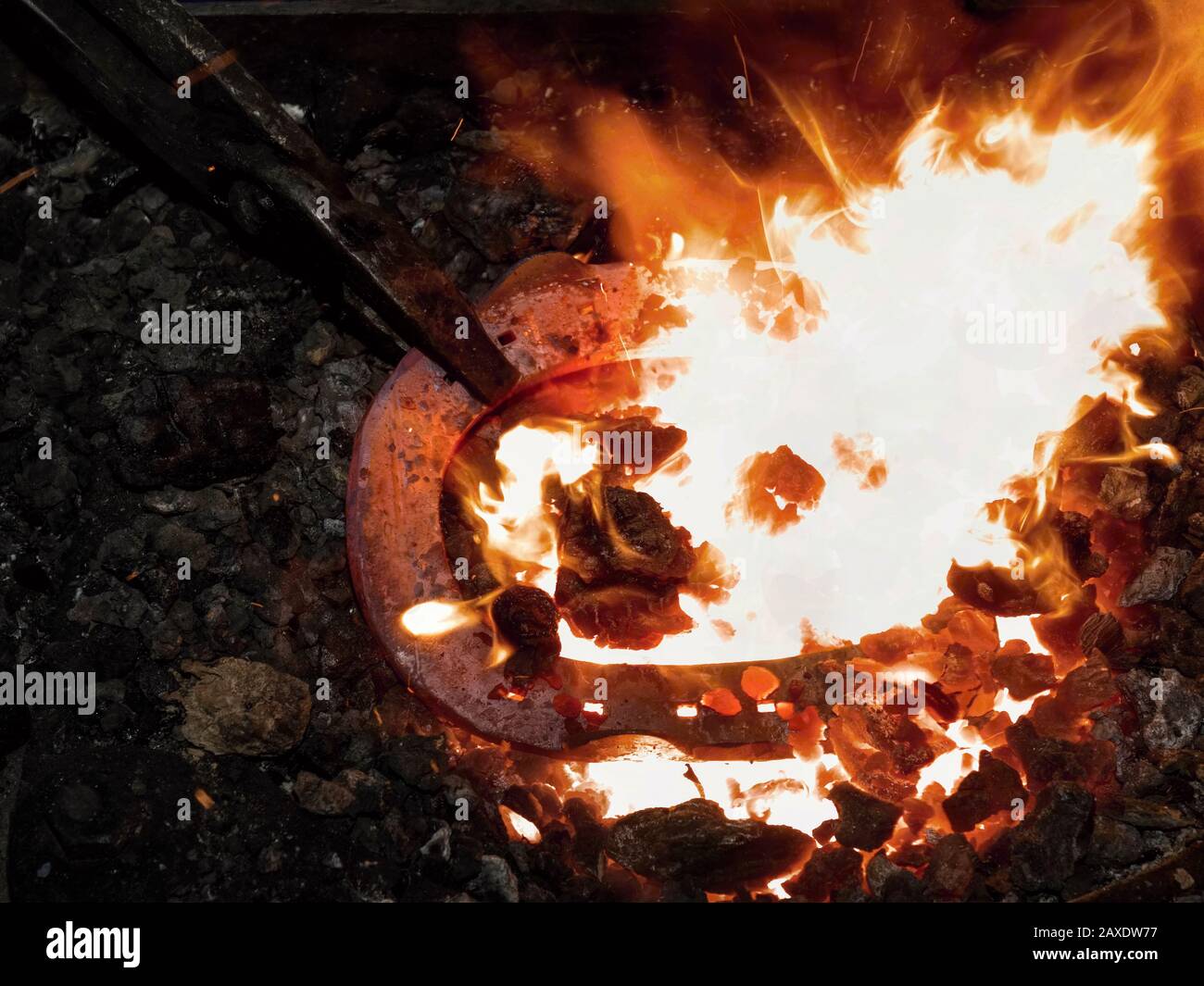 Iron bar heating in old fashioned blacksmith furnace with burning coals ...