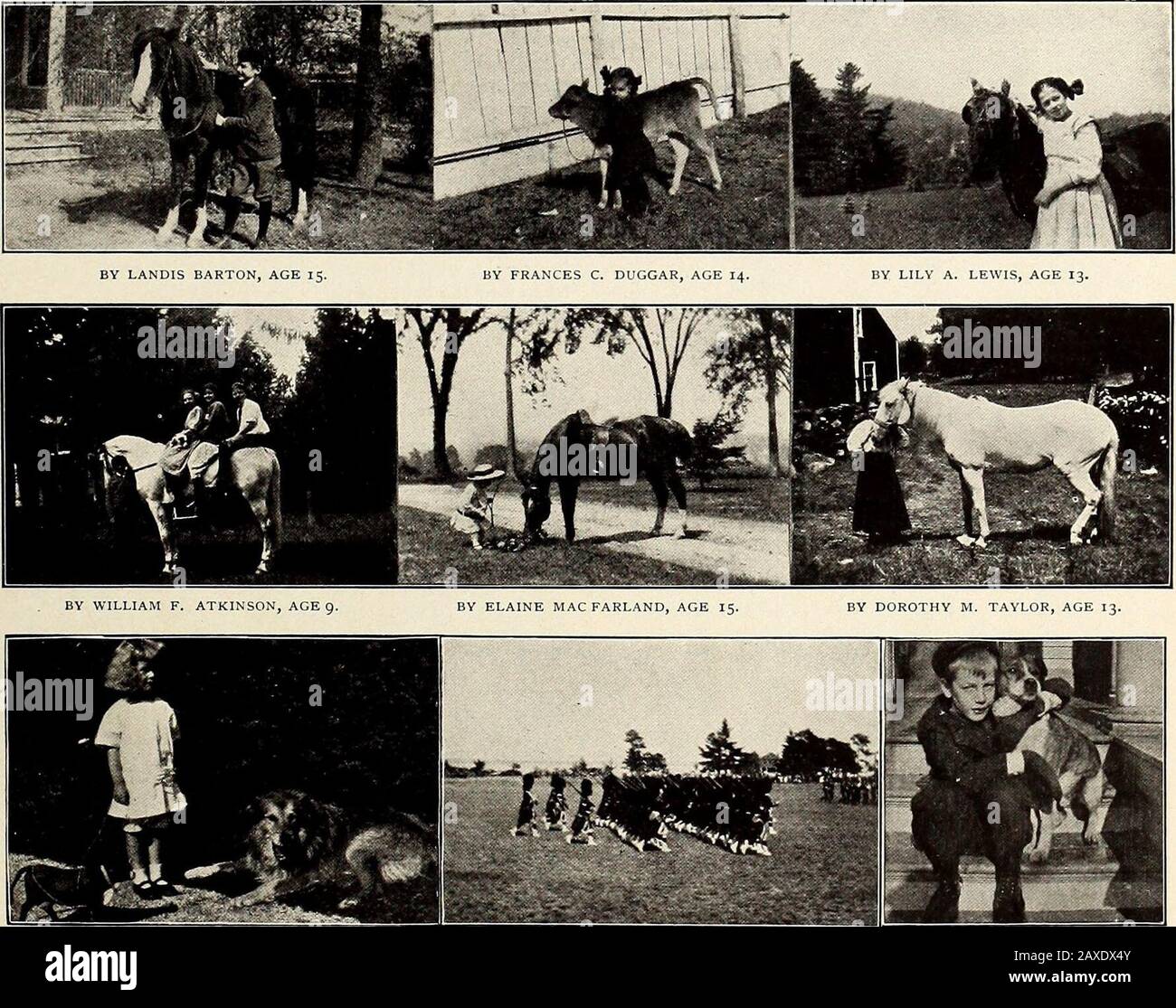 Eleanor dale hi-res stock photography and images - Alamy