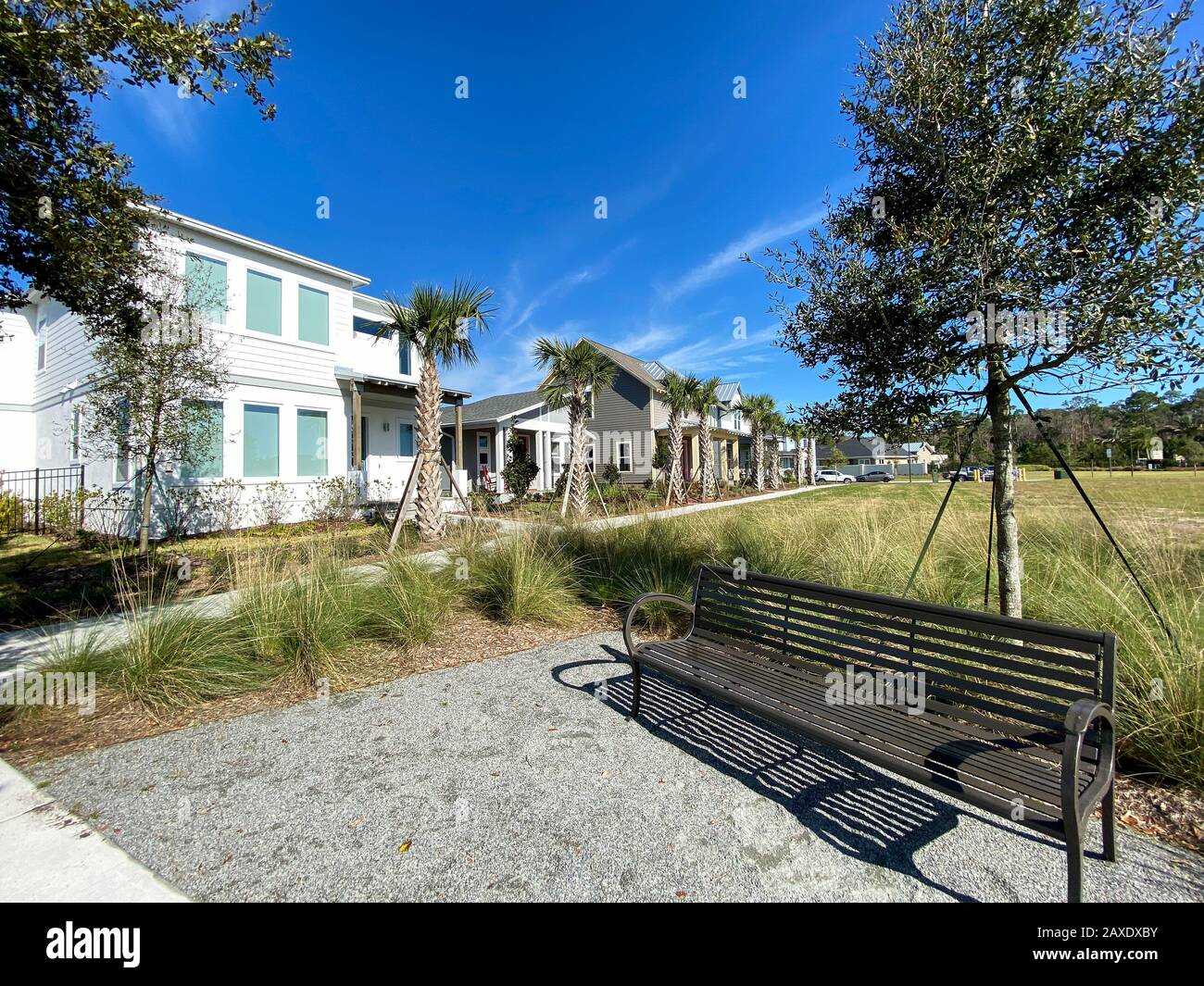 Orlando, FL/USA-2/10/20: The pocket park lined with palm trees that is ...