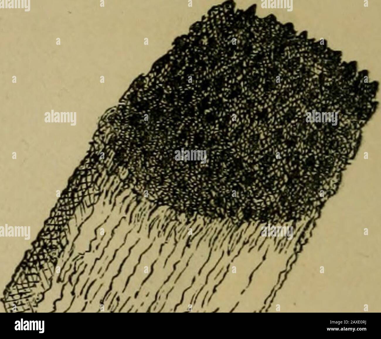 Badly clothed hi-res stock photography and images - Alamy