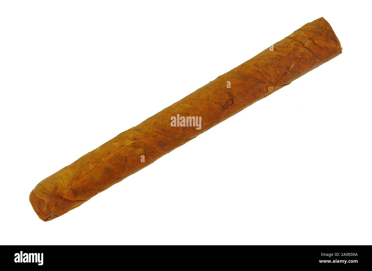 hand rolled cigar isolated on white Stock Photo - Alamy