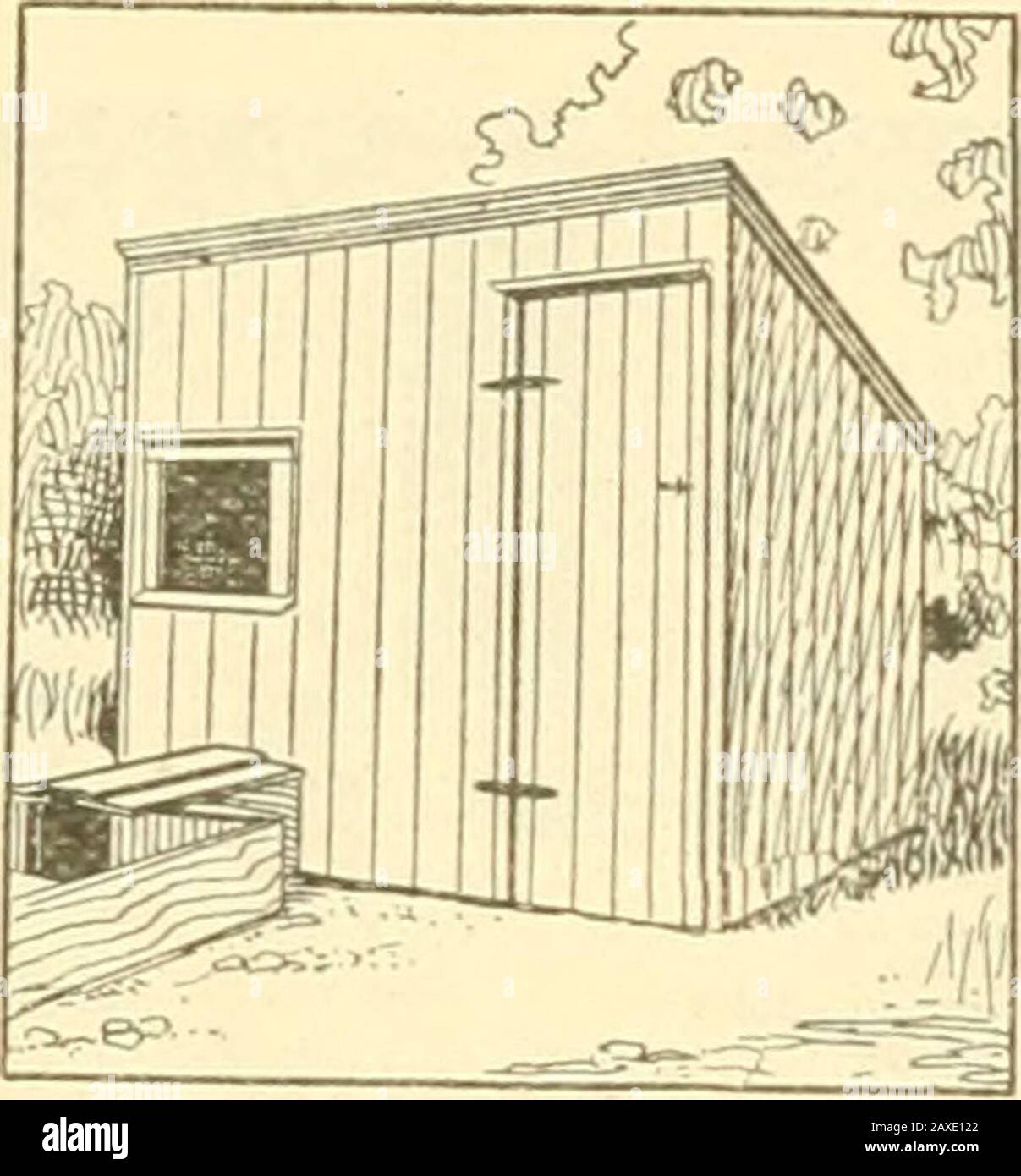 Five brood mares hi-res stock photography and images - Alamy