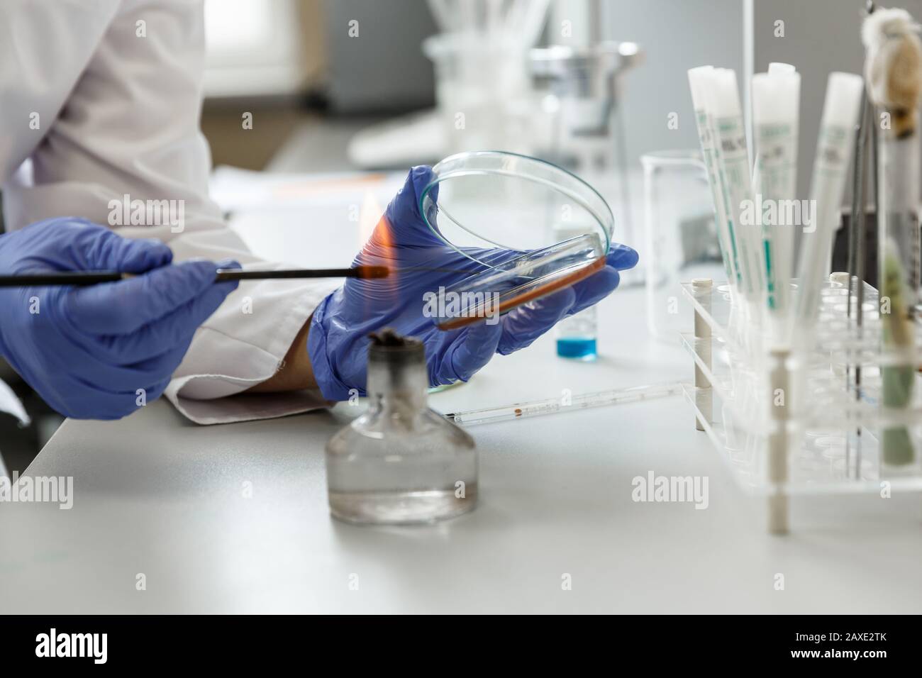 Using lab equipment hi-res stock photography and images - Alamy