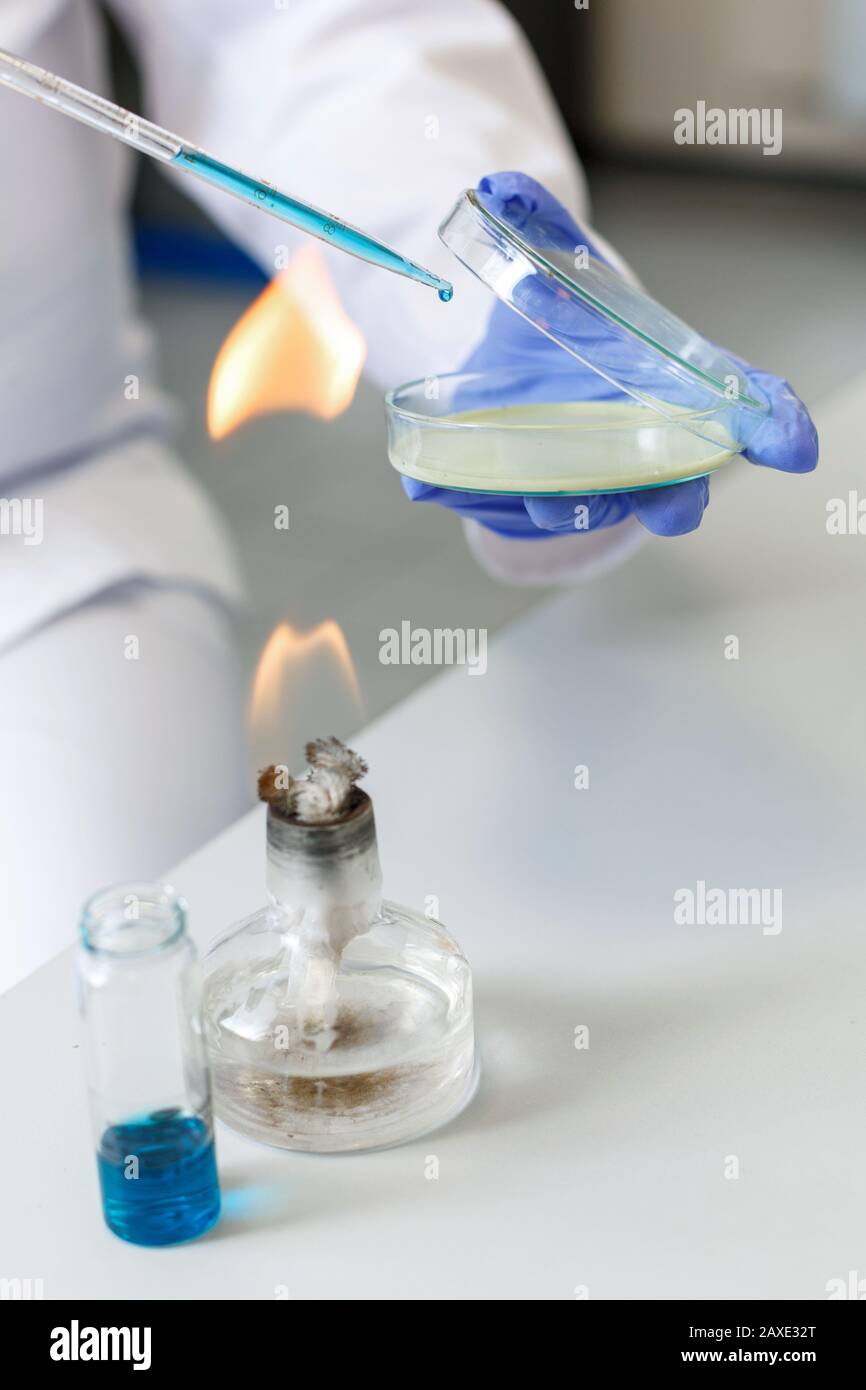 Microbiological lab hi-res stock photography and images - Alamy