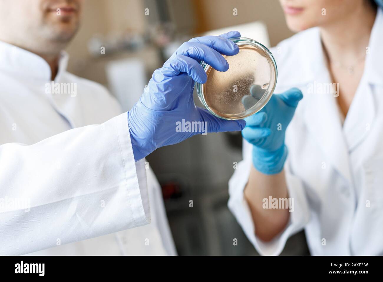 Laboratory assistants take bacterium analysis in a bacteriology clinic ...
