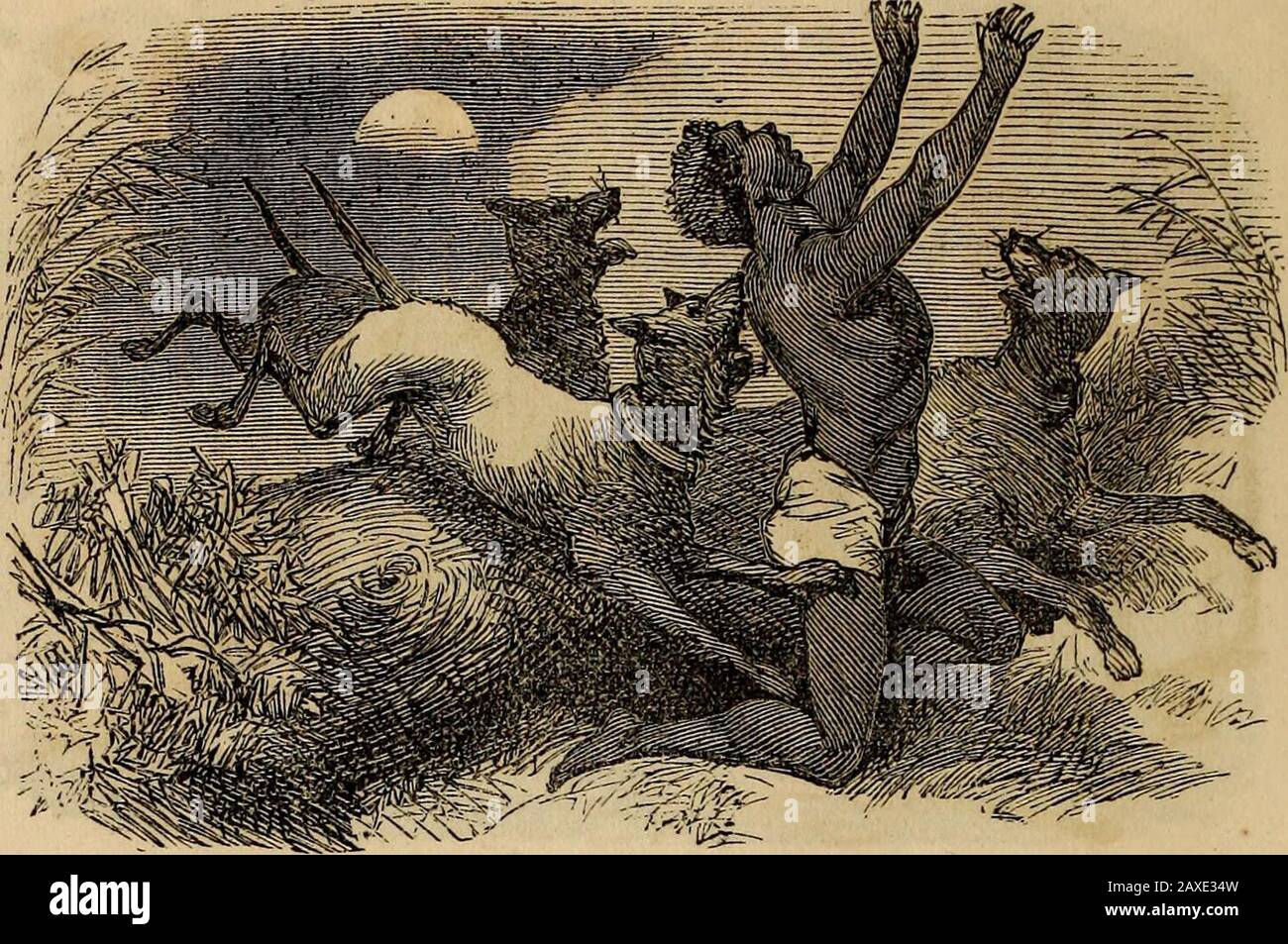 We hold these truths hi-res stock photography and images - Alamy