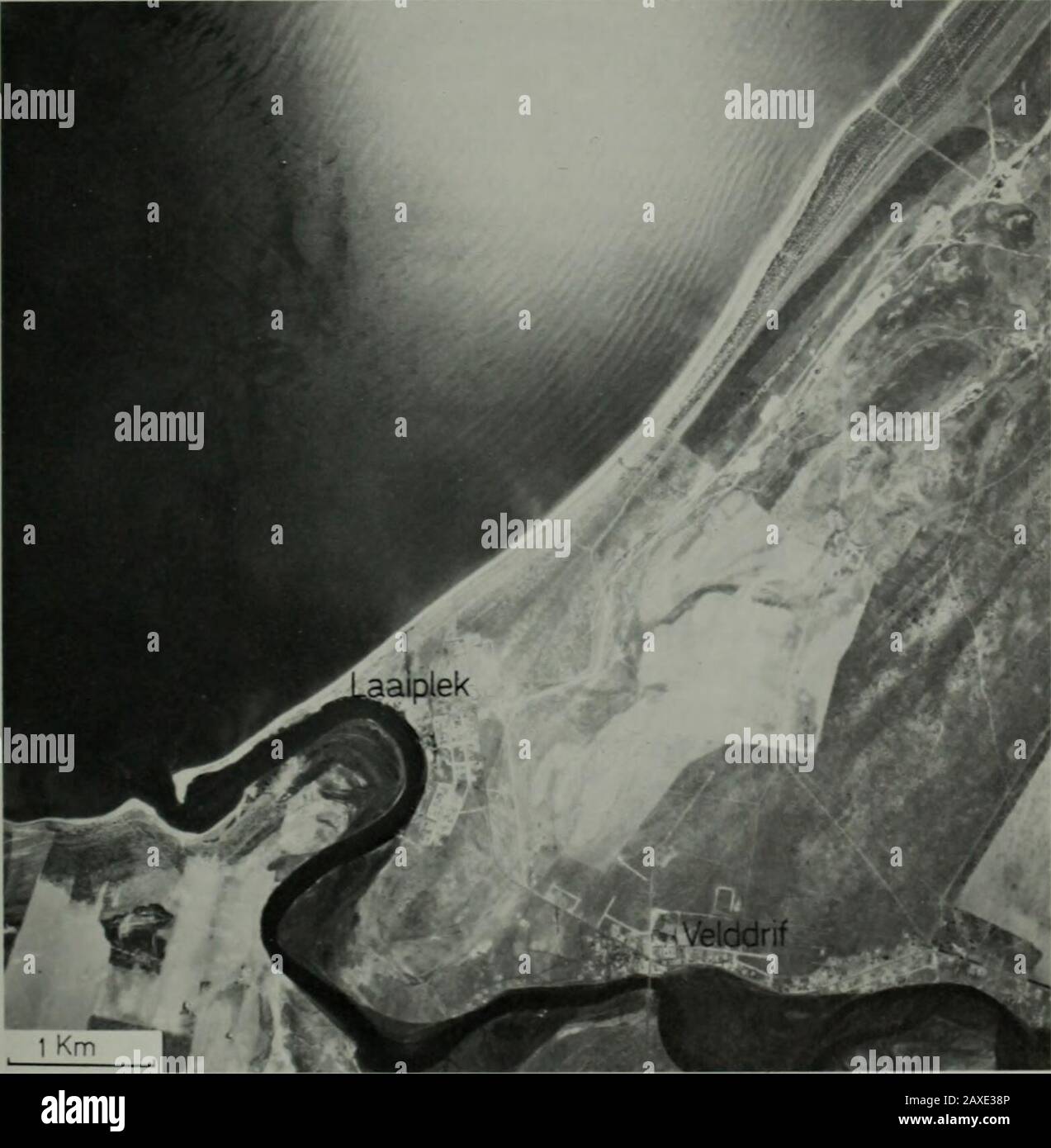 Annals of the South African MuseumAnnale van die Suid-Afrikaanse Museum ...