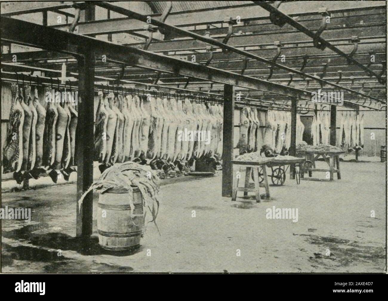 Disembowelling hi-res stock photography and images - Alamy