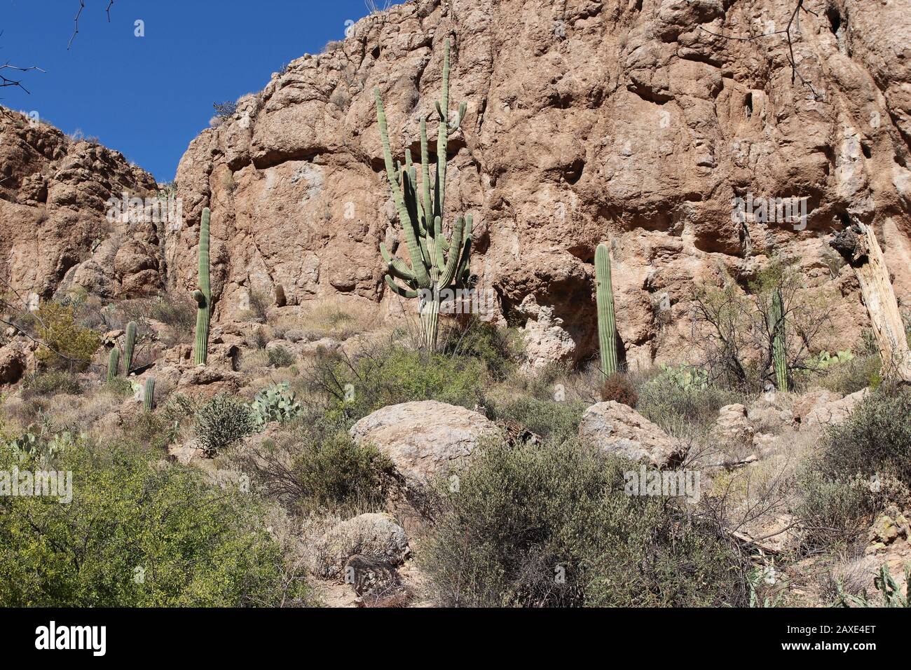 A mountainous, desert landscape in Superior, Arizona Stock Photo - Alamy