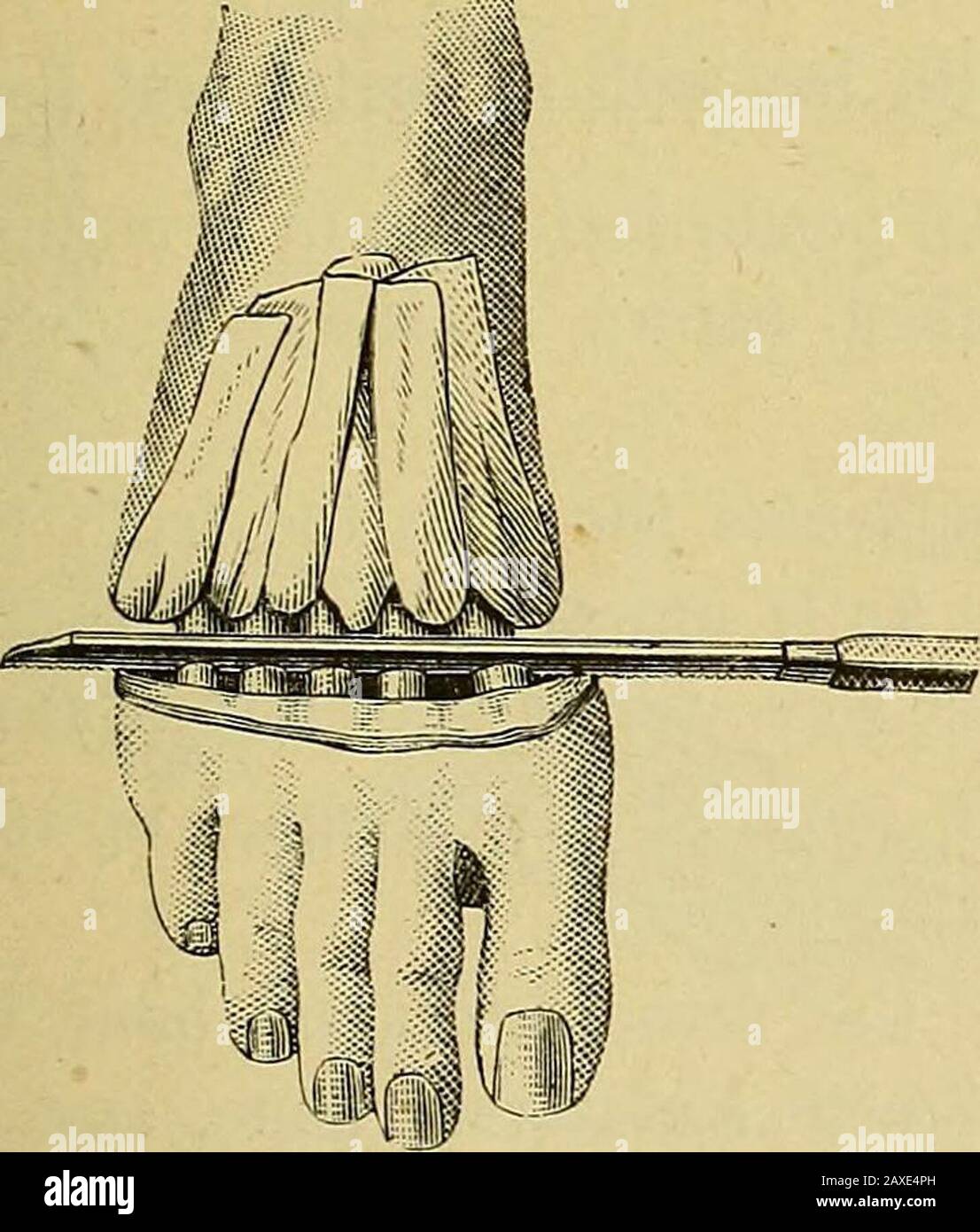 The surgeon's handbook on the treatment of wounded in war : a prize ...