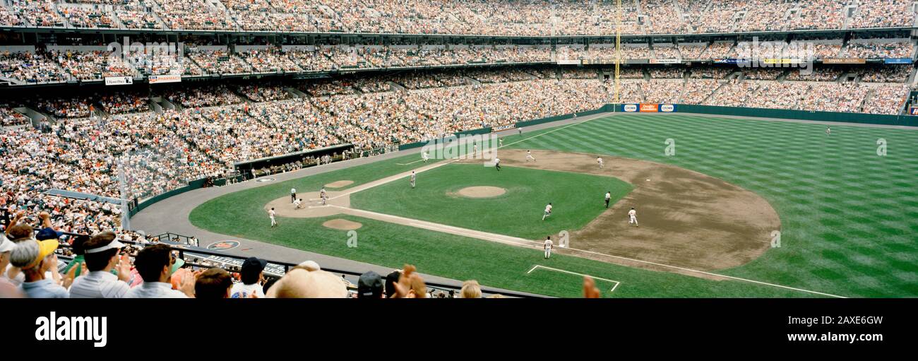 Baltimore orioles baseball team hi-res stock photography and images - Alamy