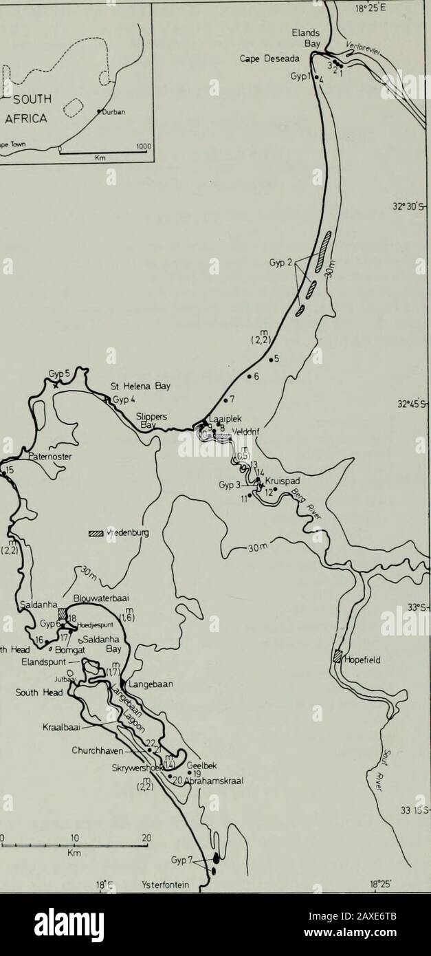 Capecolumbine hi-res stock photography and images - Alamy