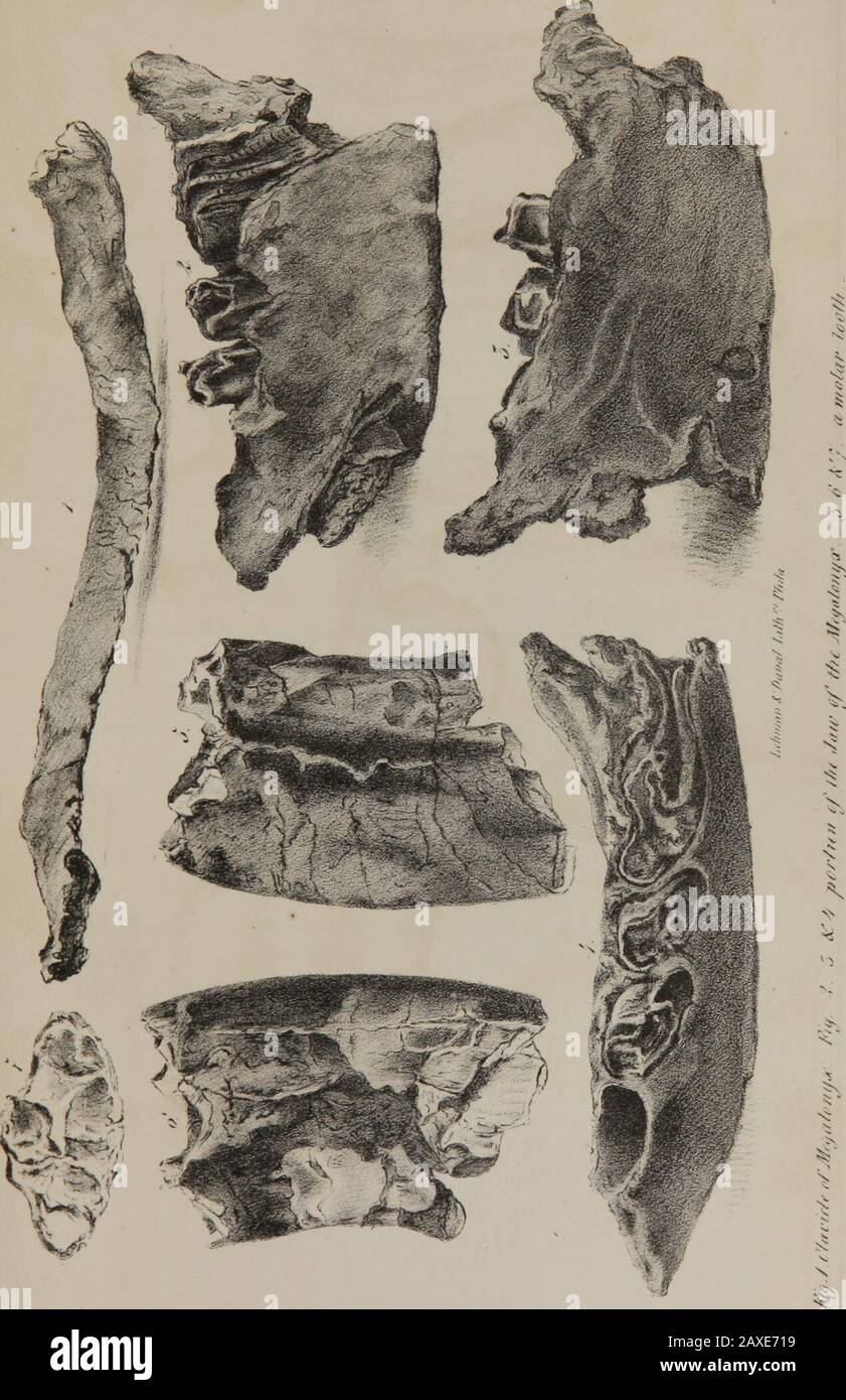 Medical and physical researches, or, Original memoirs in medicine ...