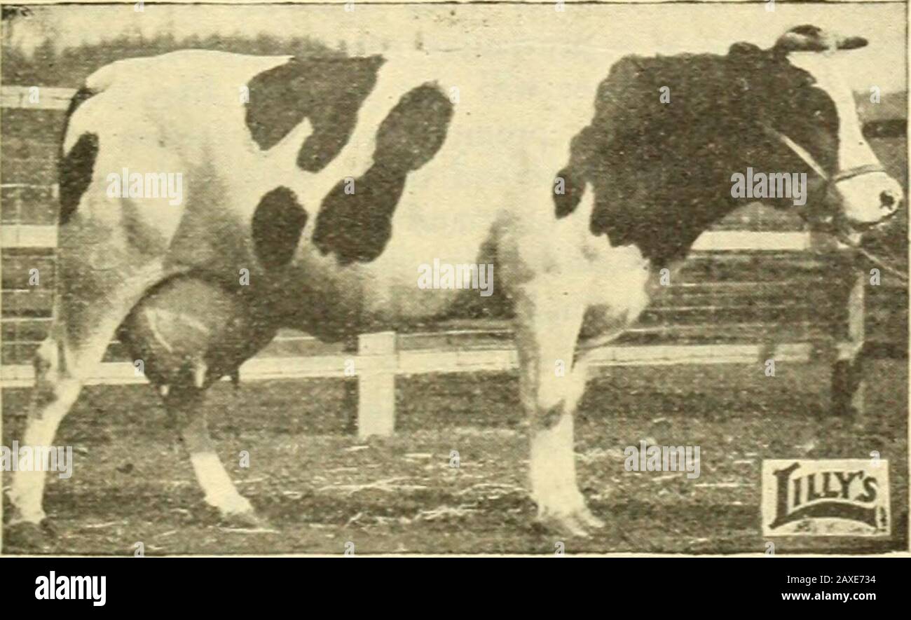 Grade b milk hi-res stock photography and images - Alamy