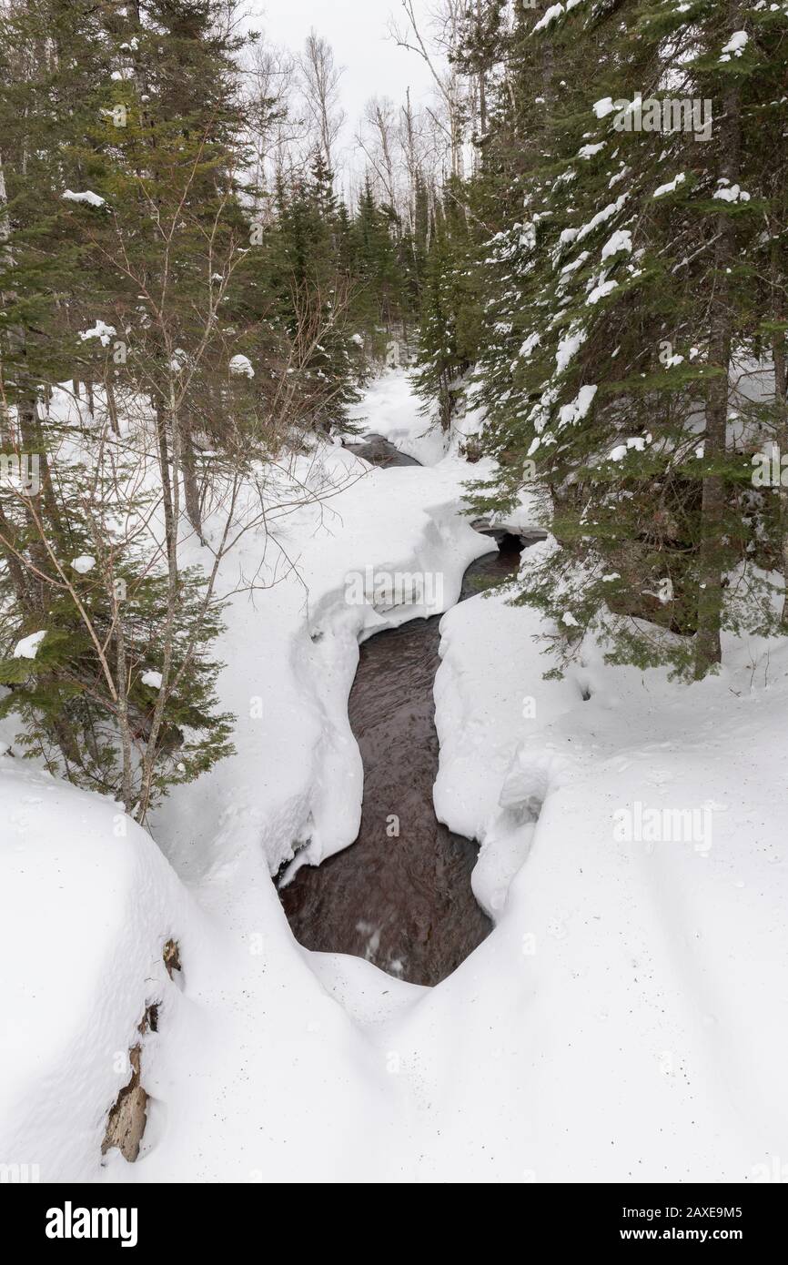 Boreal coniferous forest hi-res stock photography and images - Alamy