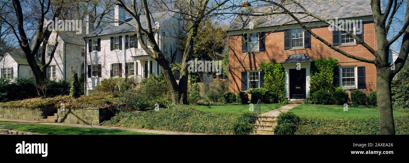 Trees in front of houses, Washington DC, USA Stock Photo - Alamy