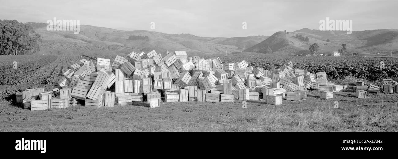 Crates In A Field, California, USA Stock Photo - Alamy