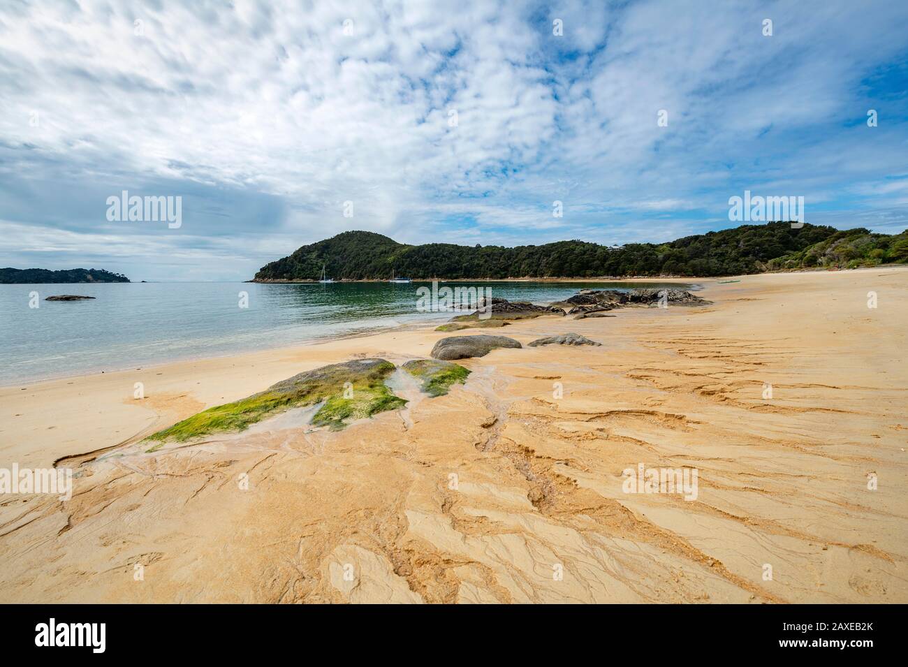 Long sandy beach, Anchorage Bay, Panorama, Abel Tasman National Park, Tasman, South Island, New ...