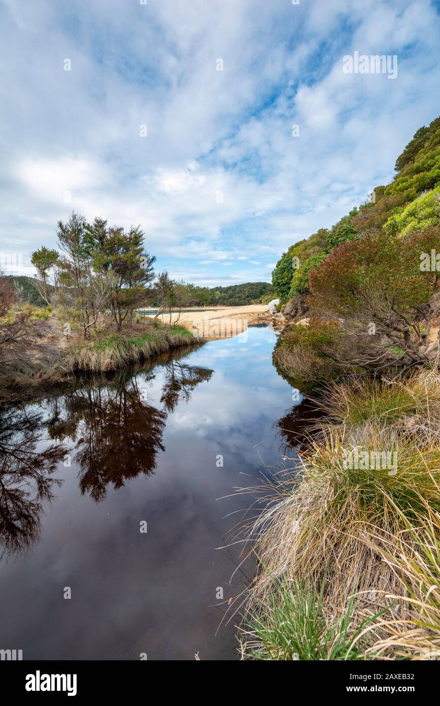 Small lagoon lake in Anchorage Bay, Abel Tasman National Park, Tasman, South Island, New Zealand ...