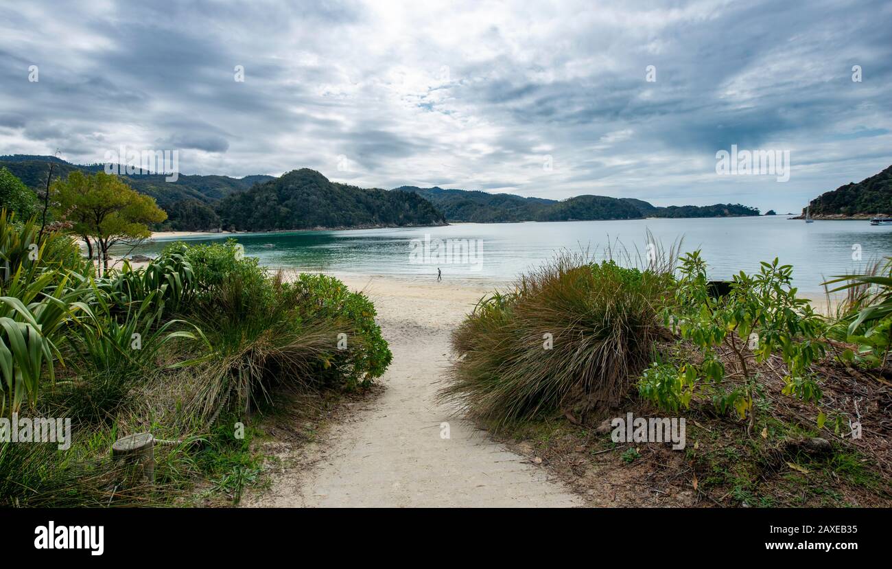 Beach, Anchorage Bay, Abel-Tasman National Park, Tasman, South Island, New Zealand Stock Photo ...