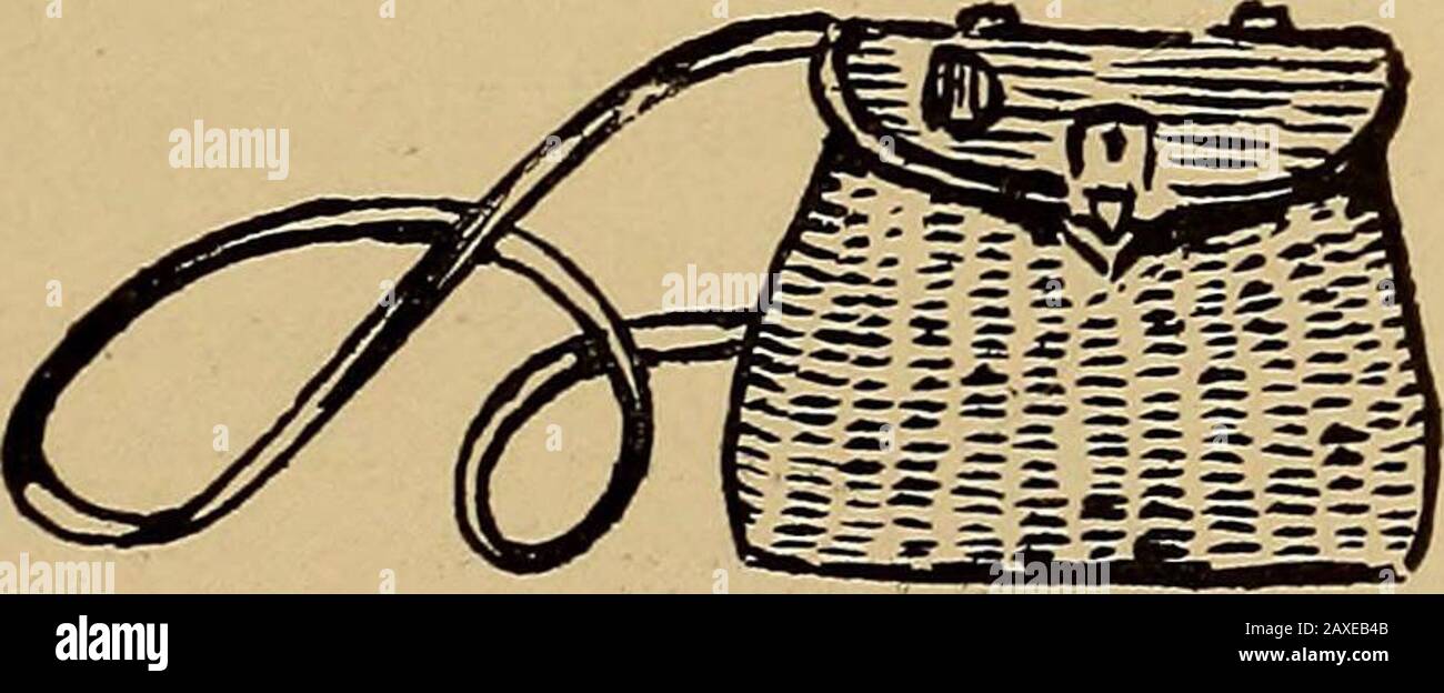 Snub line hi-res stock photography and images - Alamy