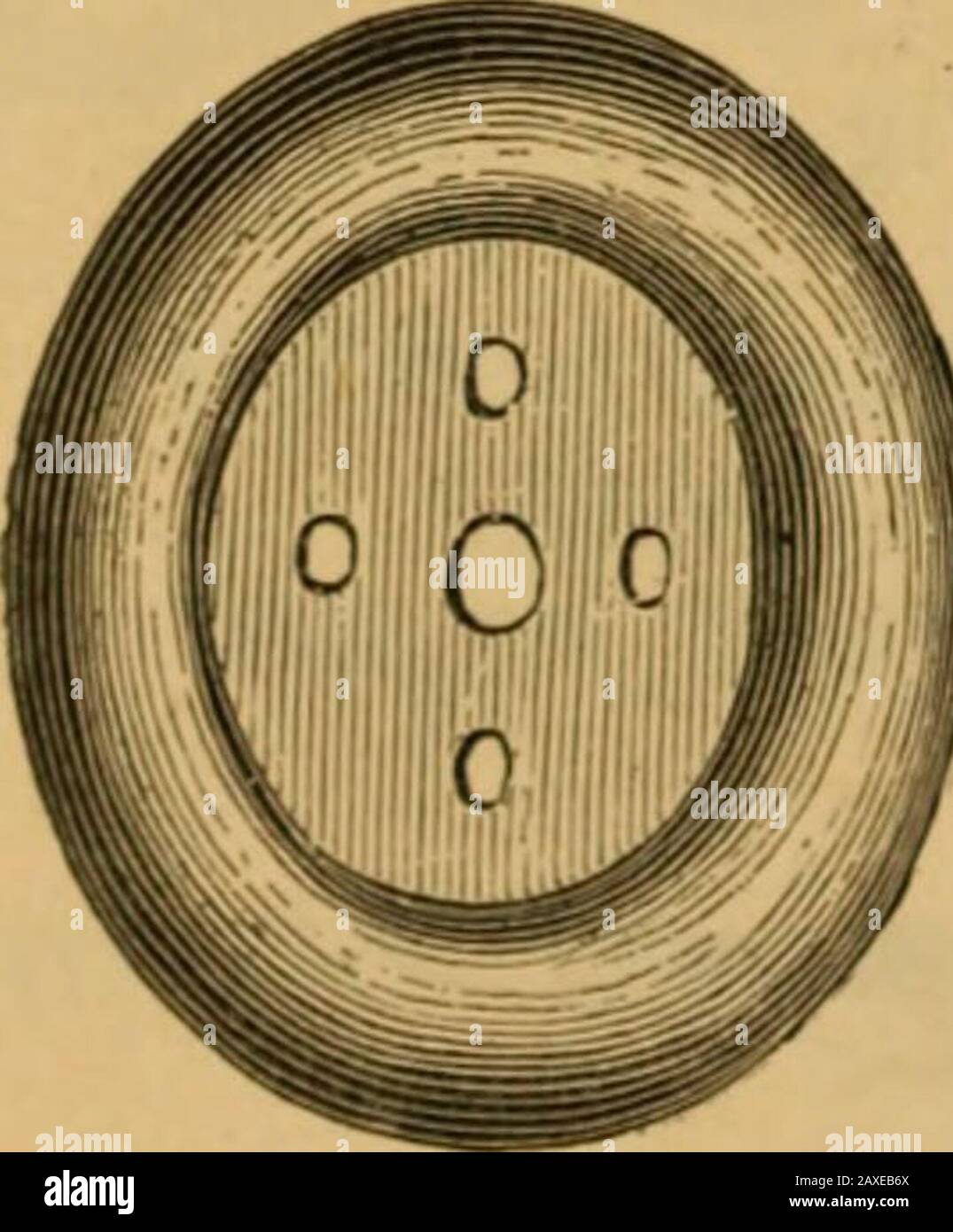 Ebonite hi-res stock photography and images - Alamy