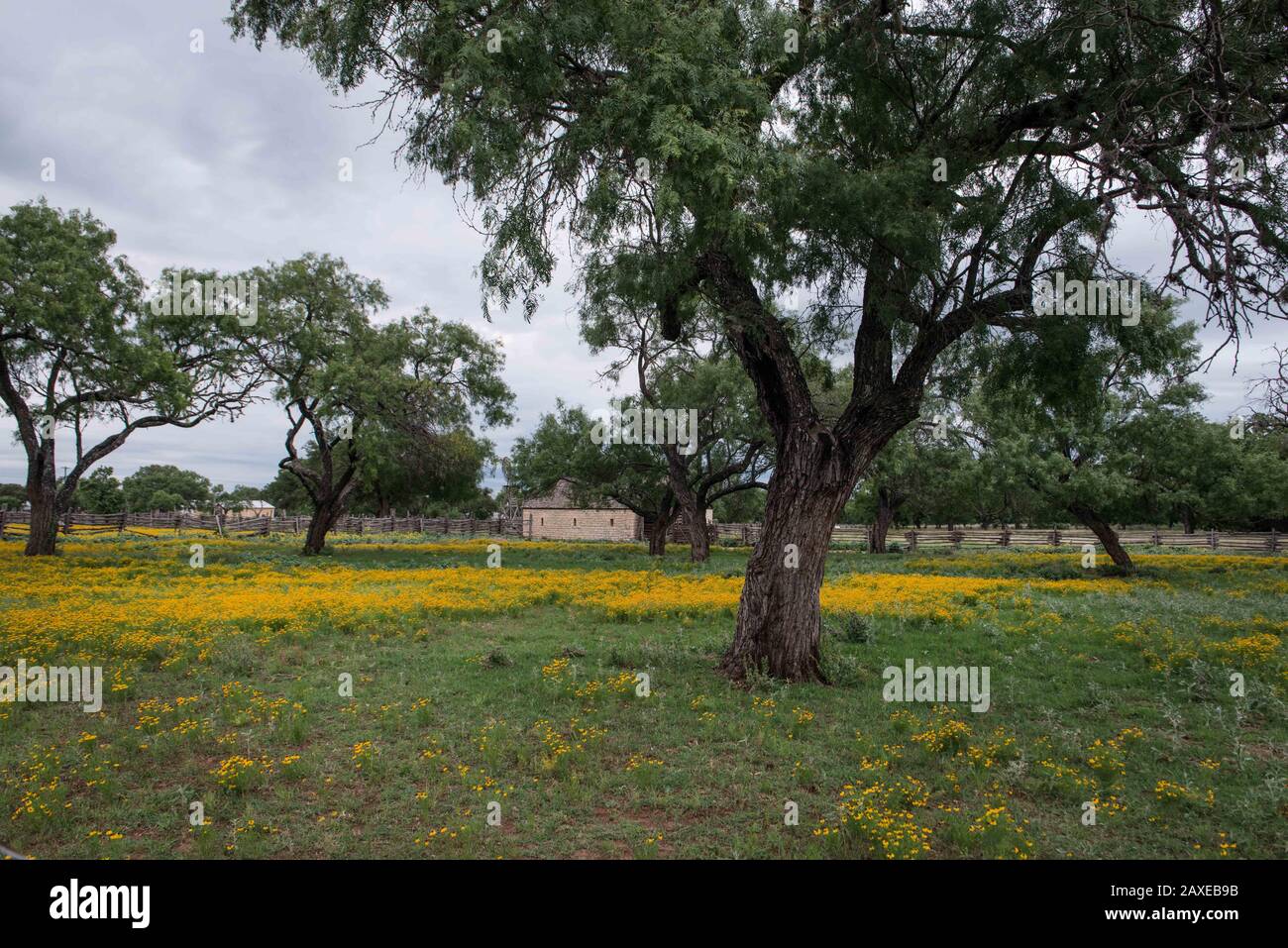 Pedernales river lbj ranch hi-res stock photography and images - Alamy