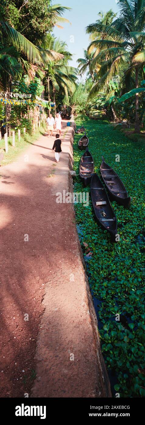 People on a walkway, Kerala, India Stock Photo - Alamy