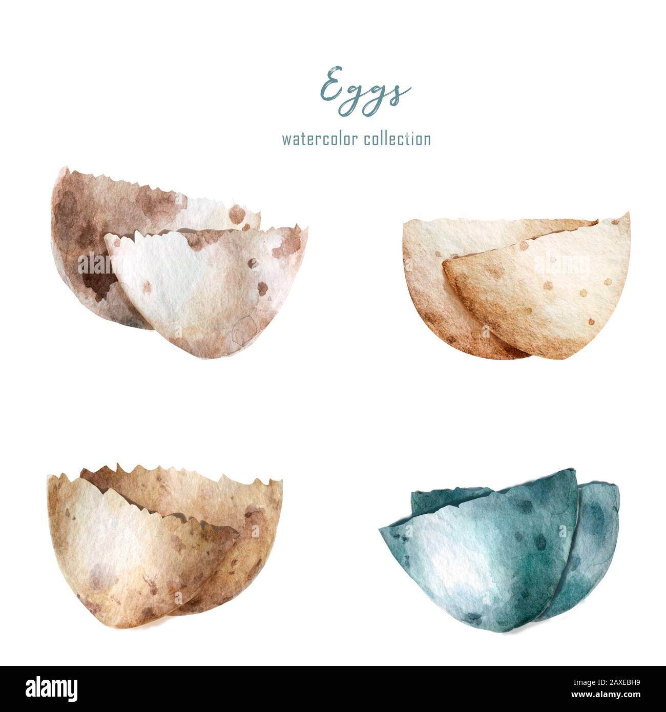 Cracked eggshell. Watercolor hand drawn set egg shell halves over white ...
